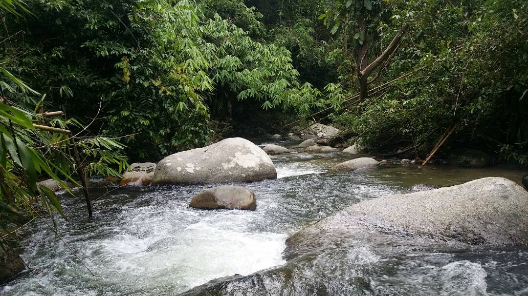 A visit to Kg Rening, Cameron Highlands