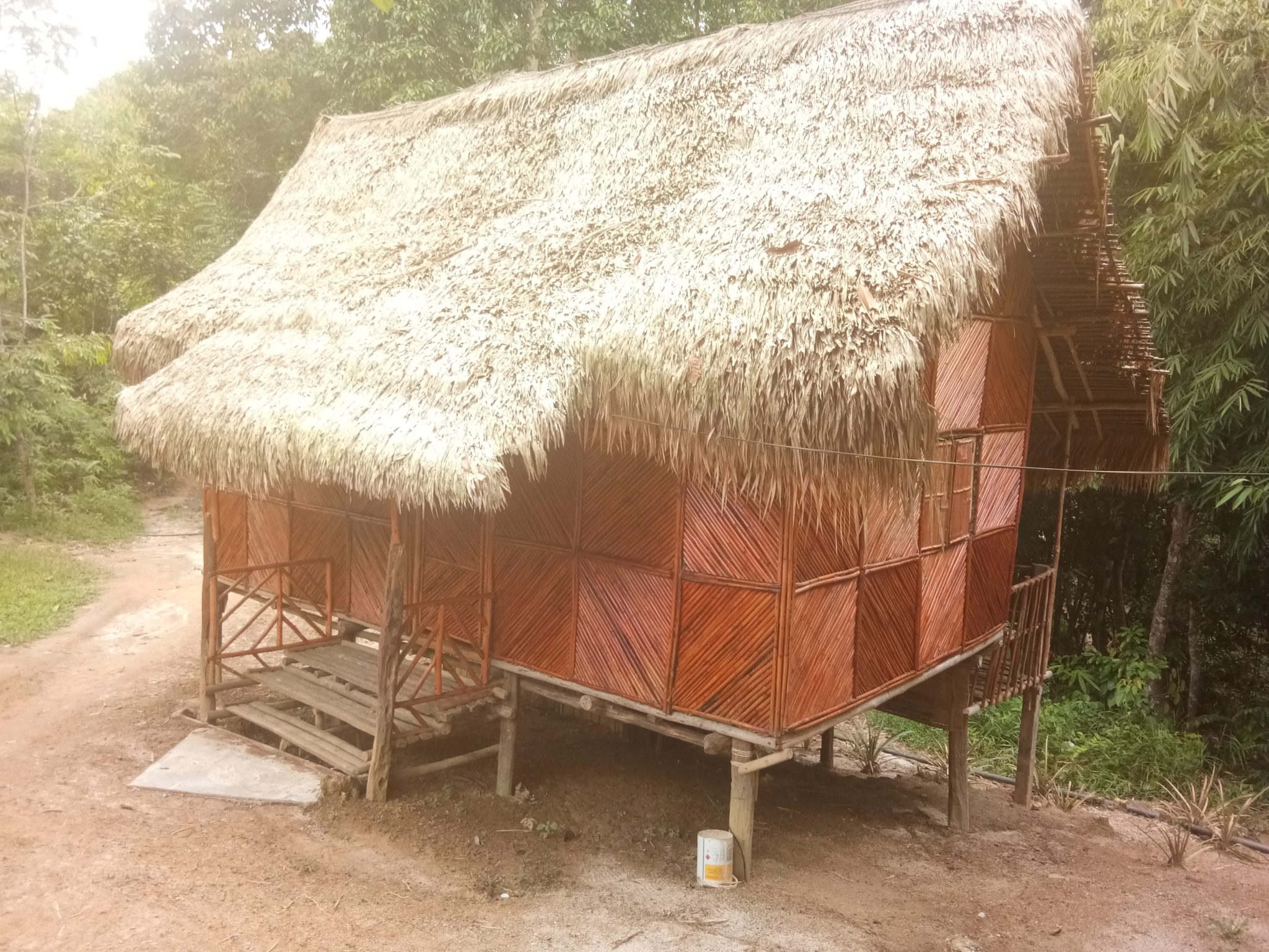 A visit to Kg Rening, Cameron Highlands