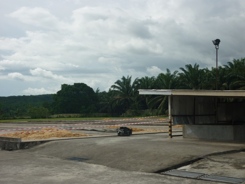 Ken Farm Sdn Bhd and Fisheries Research Institute (Seaweed Project)