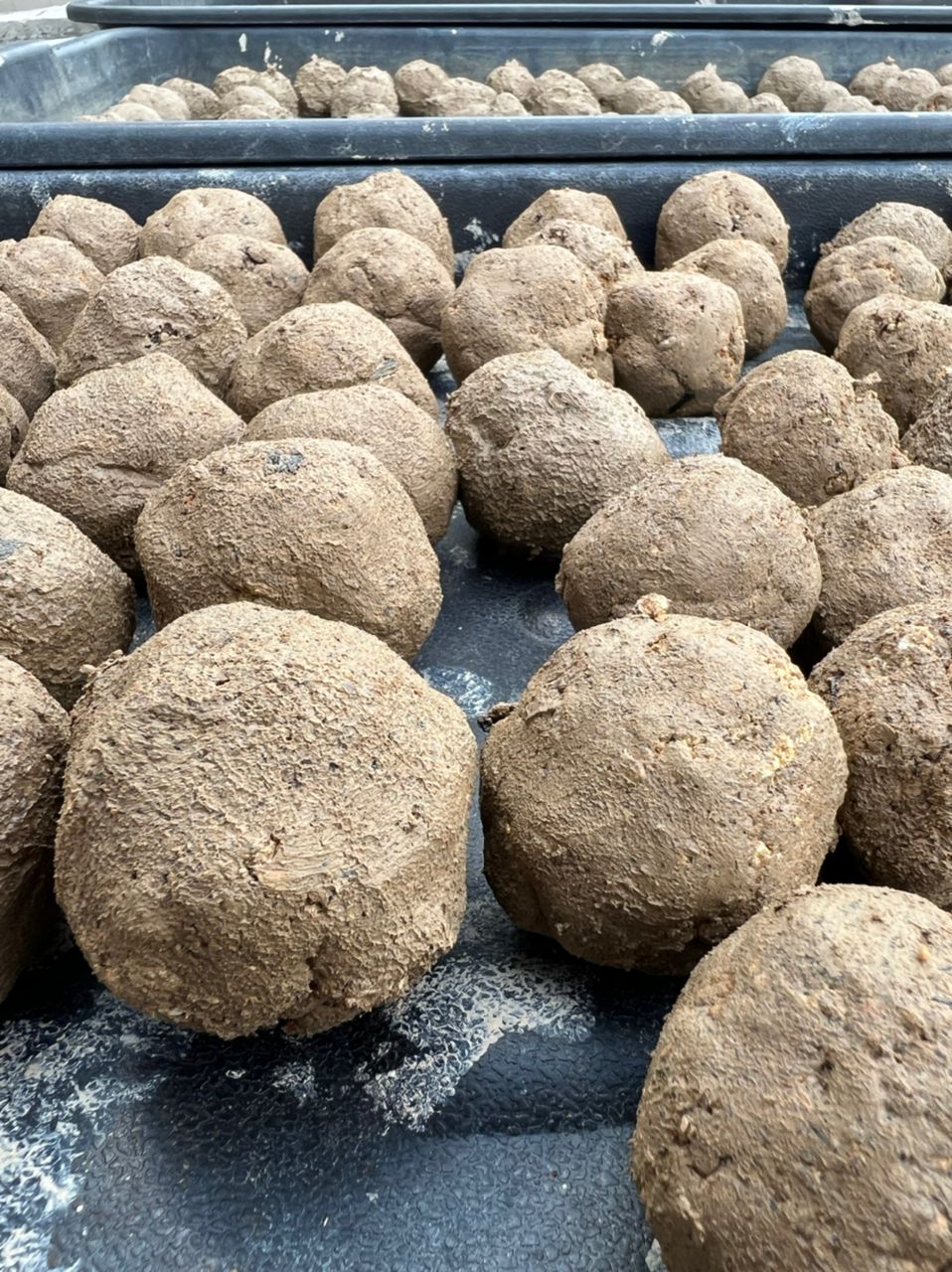 MUAR CIPTA SEJARAH MBOR LEBIH 400 RIBU MUD BALL – Pagoh_Fonia