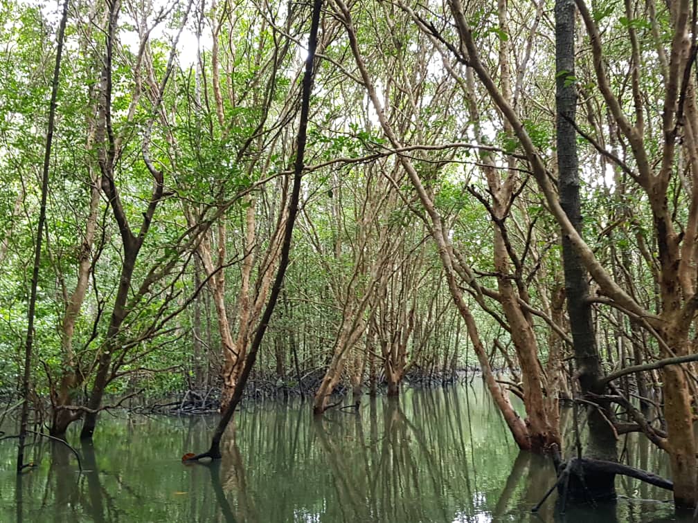 The hidden gem of Johor – Tanjung Surat | Dr. Siti Nisrin Mohd Anis
